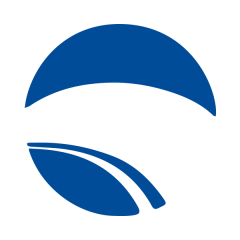 Blue Fidelity - Technology solutions for business